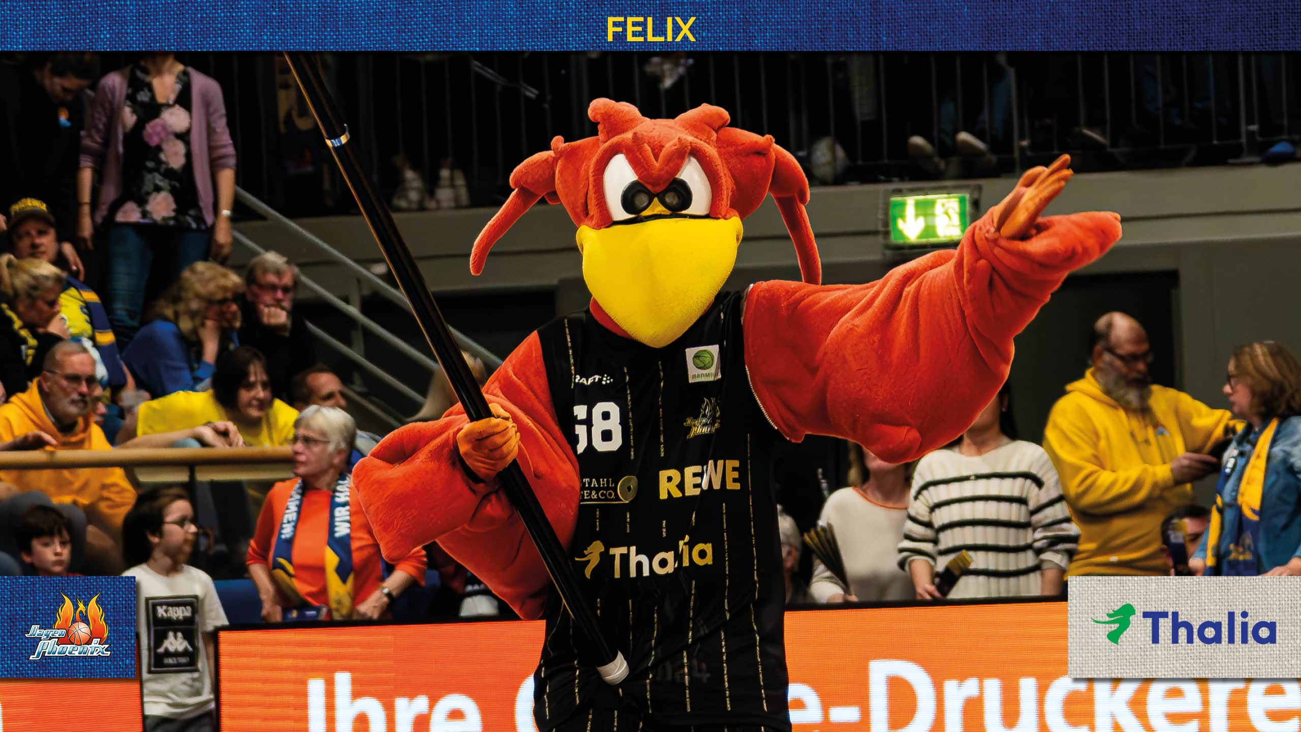 Unser Team – Basketball Hagen